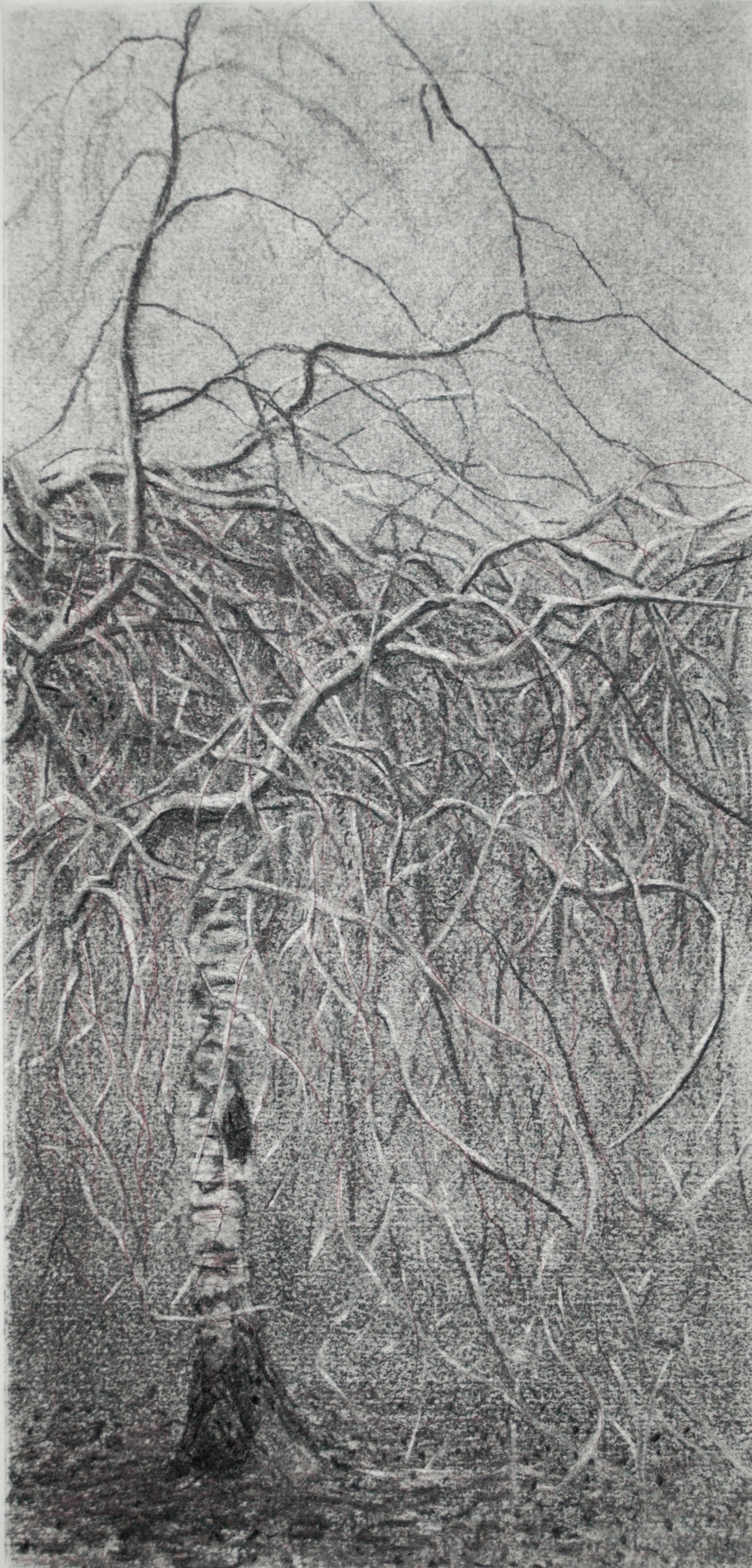 The Beginning: a trip down memory lane – Jason Stropko Glass