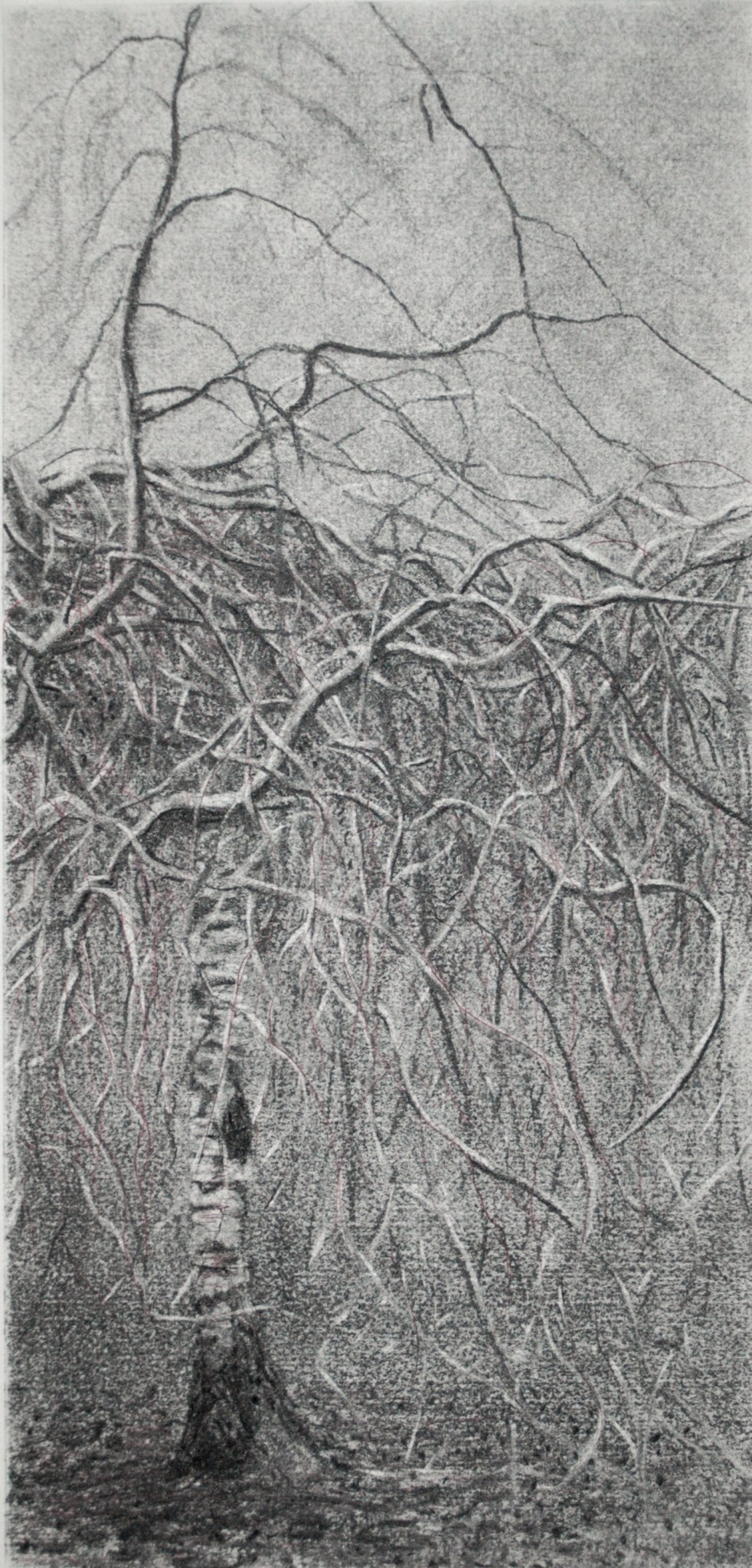 The Beginning: a trip down memory lane – Jason Stropko Glass