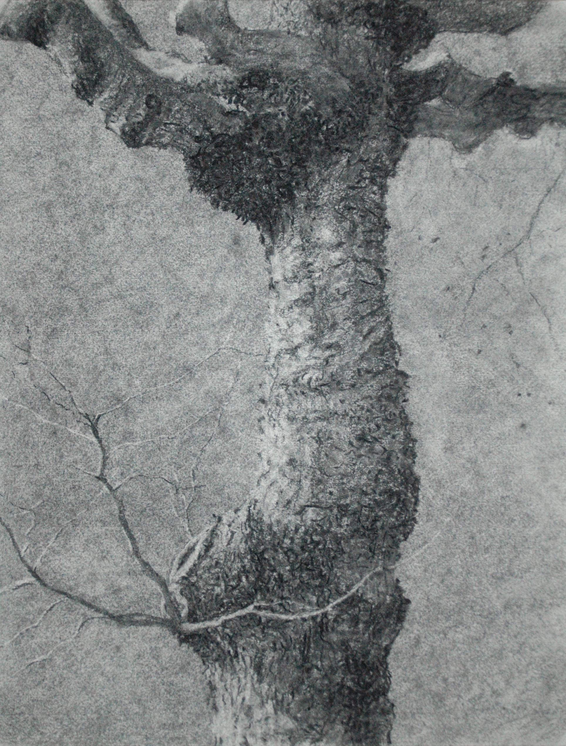 The Beginning: a trip down memory lane – Jason Stropko Glass